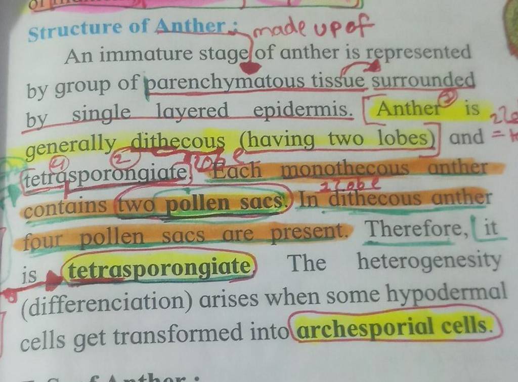 Structure of Δnther; made up of An immature stage of anther is represente..