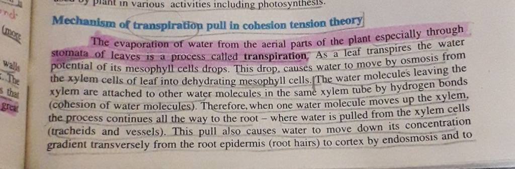 Mechanisma of transpiration pull in cohesion tension theory The evaporati..