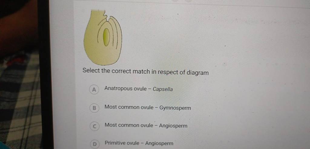 Select the correct match in respect of diagram | Filo