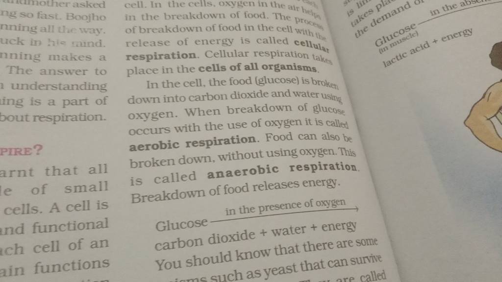ngso fast. Boojho in the breakdown of food. The prope nning all the way.
