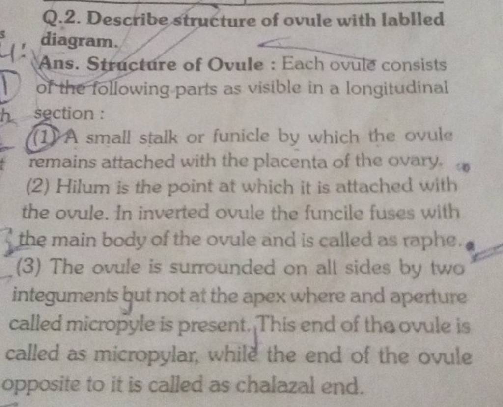 Q.2. Describe structure of ovule with lablled diagram. Ans. Structure of