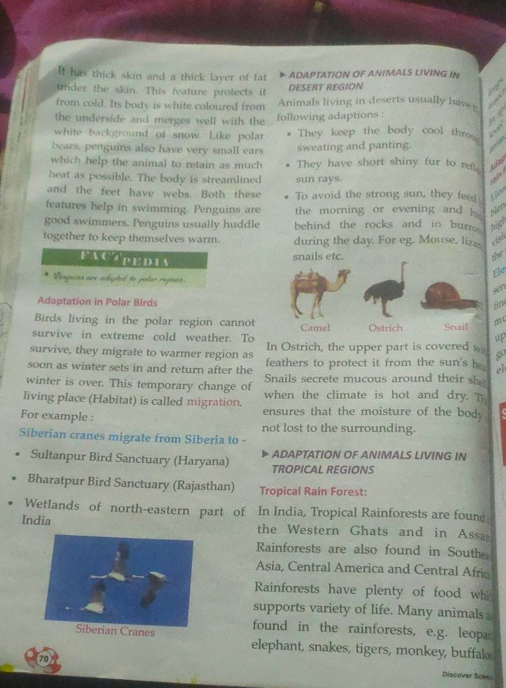 It has thick skin and a thick layer of fat ⇒ ADAPTATION OF ANIMALS LIVING..