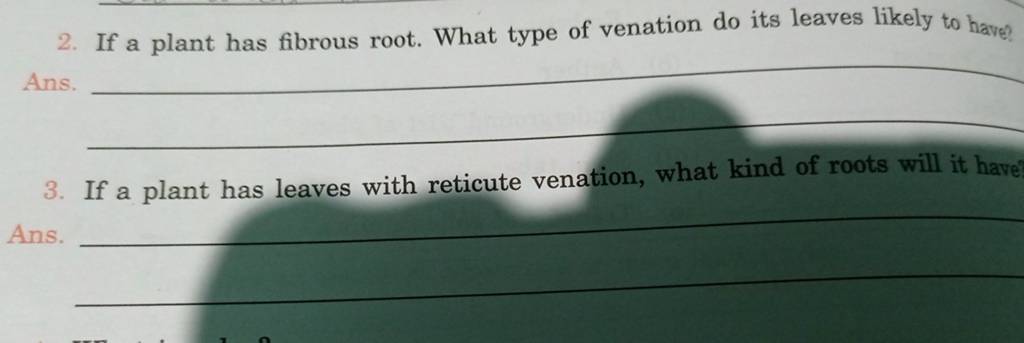 2 If A Plant Has Fibrous Root What Type Of Venation Do Its Leaves Likel 2-if-a-plant-has-fibrous-root-what-type-of-venation-do-its-leaves-likel