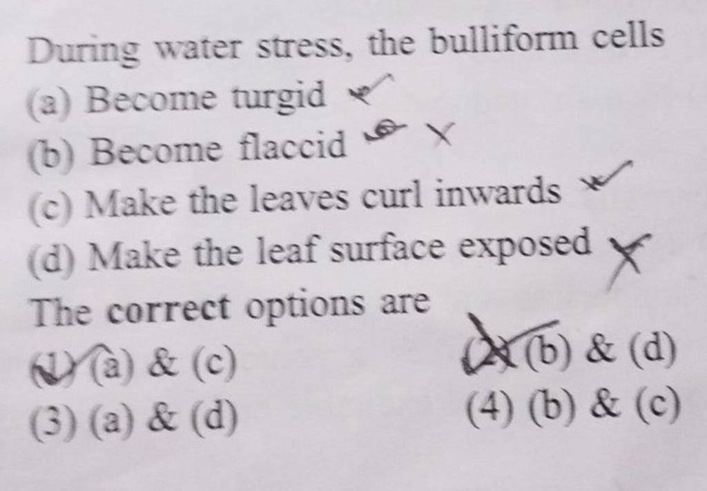 During water stress, the bulliform cells (a) Become turgid e (b) Become f..
