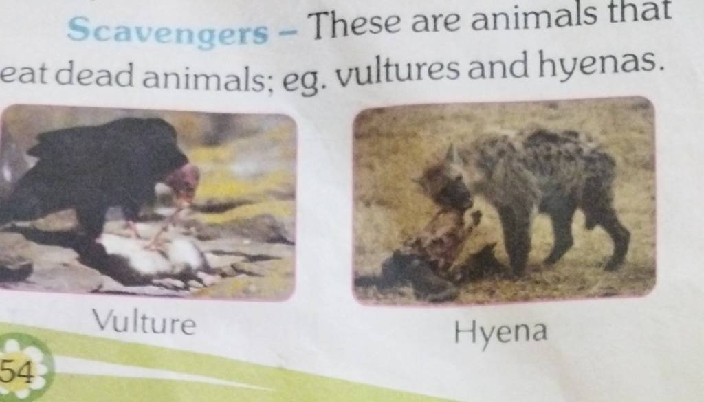 Scavengers - These are animals that eat dead animals; eg. vultures and hy..