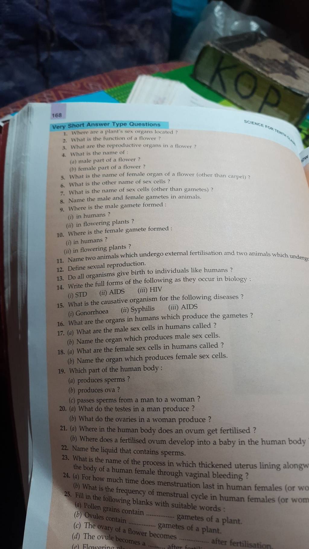 A What Are The Female Sex Cells In Humans Called Filo