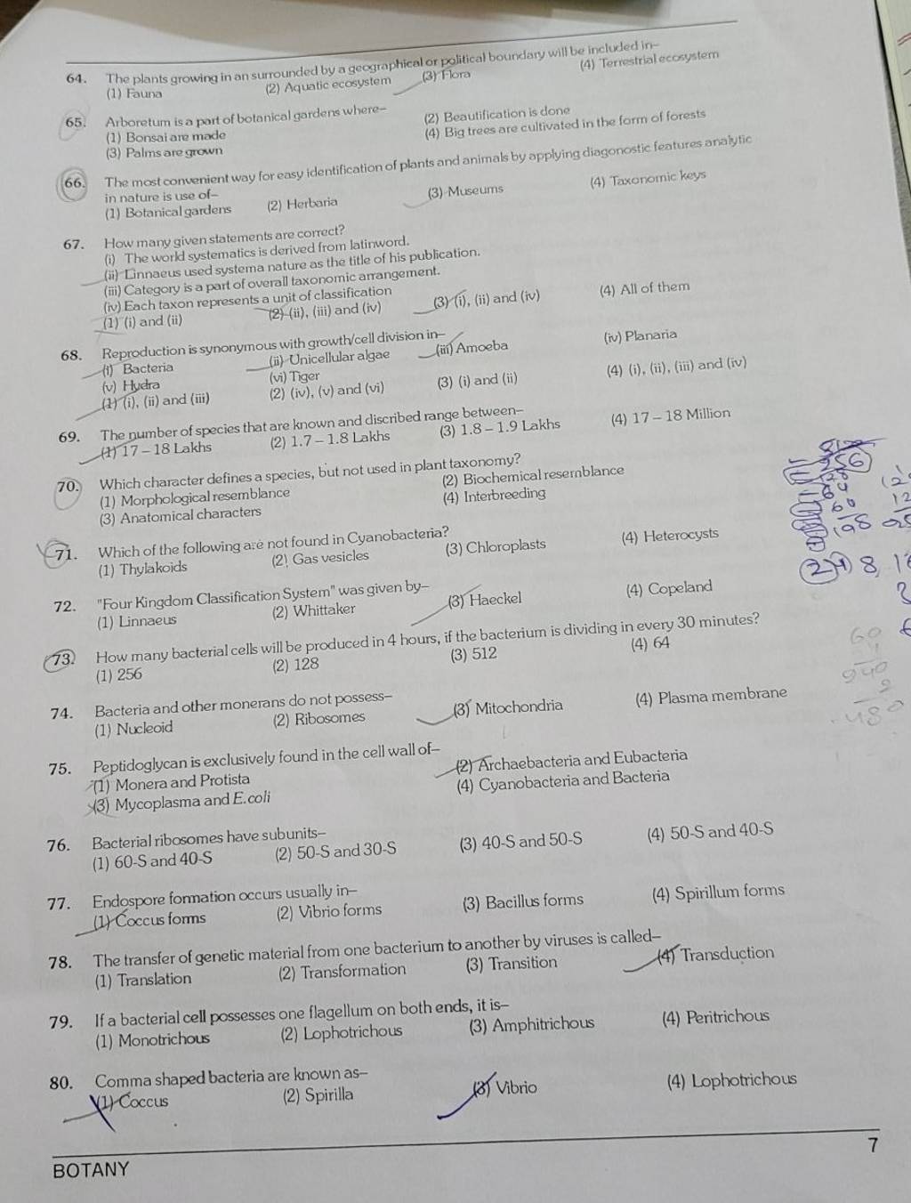 Comma shaped bacteria are known as- | Filo