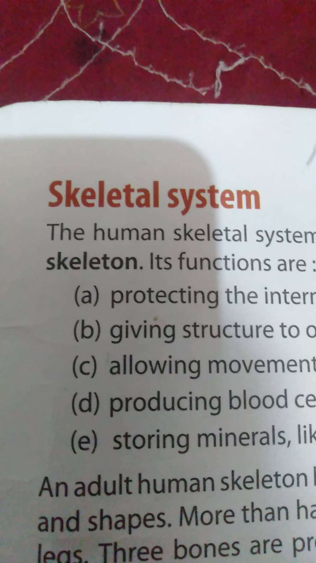 Skeletal system The human skeletal systen skeleton. Its functions are..