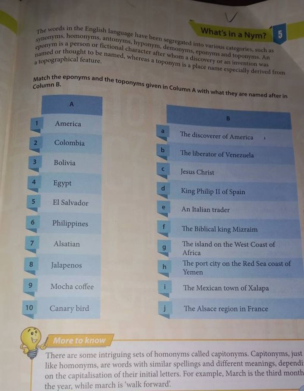 synonyms, homonyms, antonyms, hyponym, demonyms, eponyms and toponyms. An..