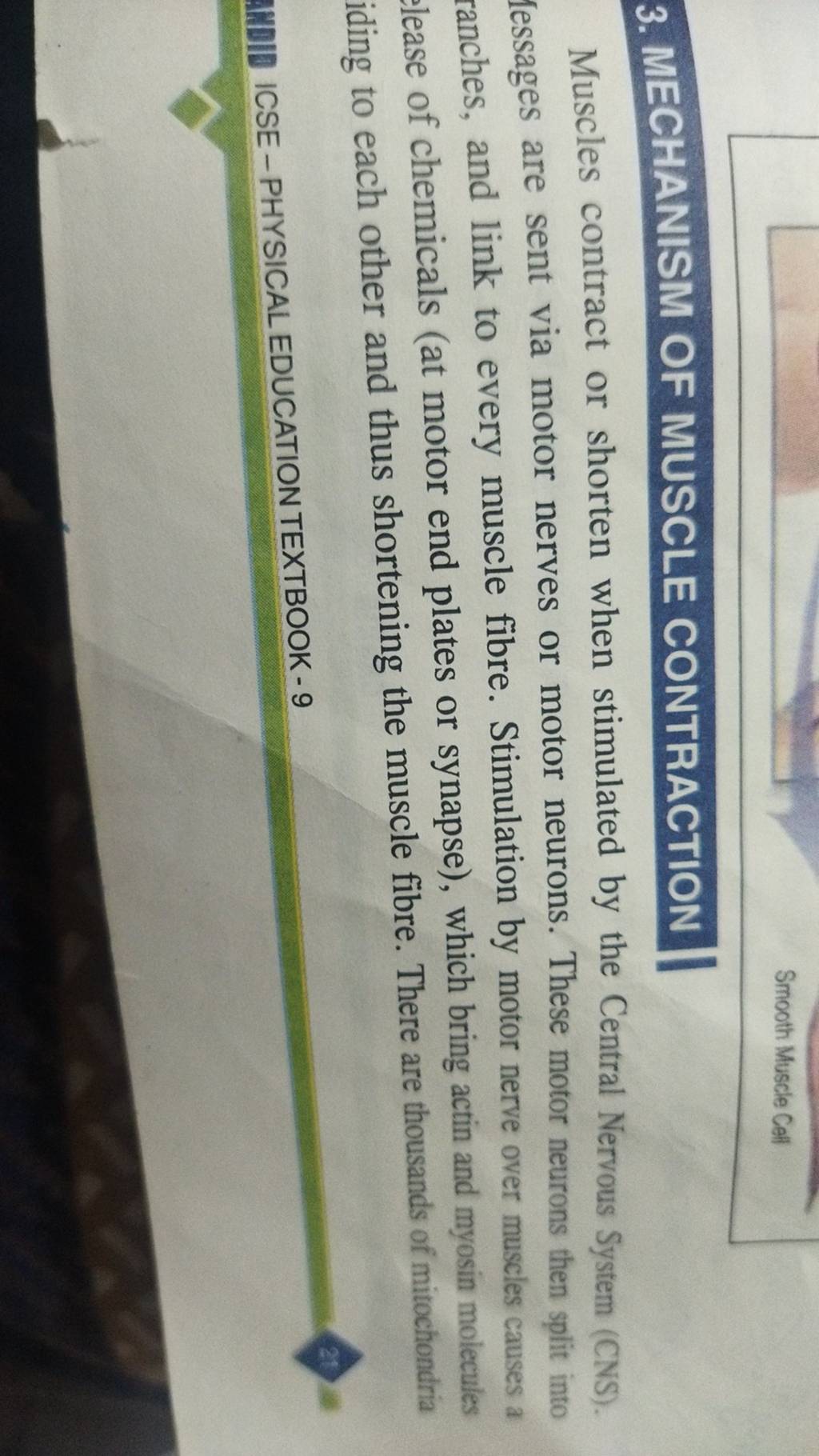 3. MECHANISM OF MUSCLE CONTRACTION Muscles contract or shorten when stimu..