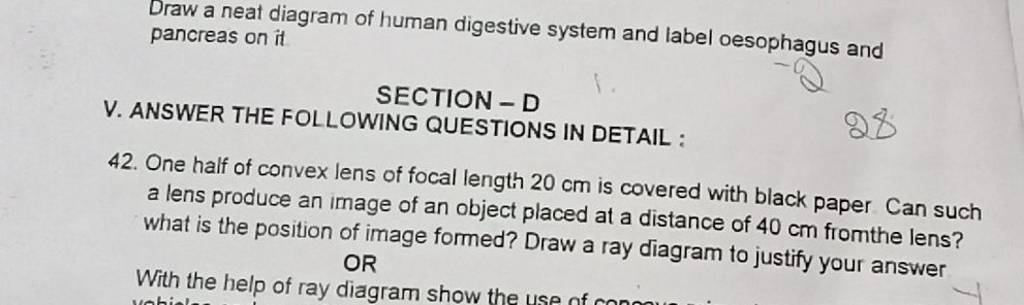 Draw a neat diagram of human digestive system and label oesophagus and pa..
