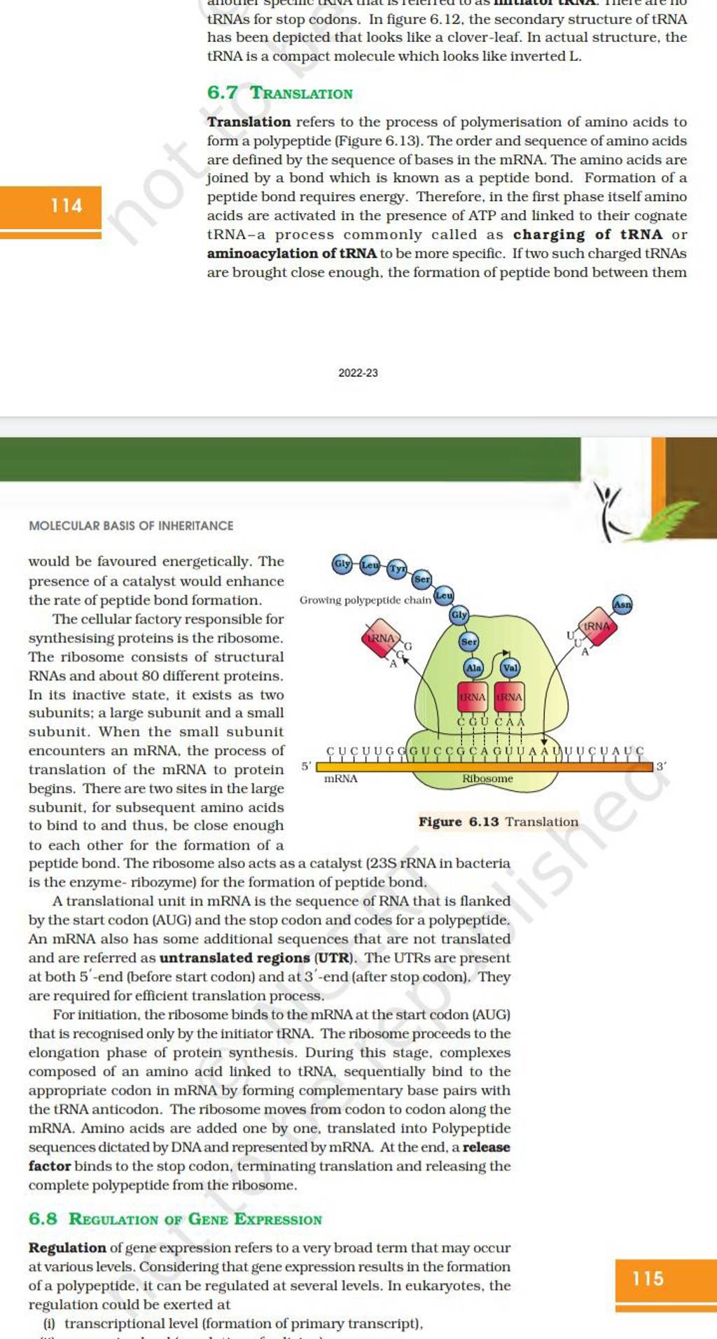 tRNAs for stop codons. In figure 6.12, the secondary structure of tRNA ha..