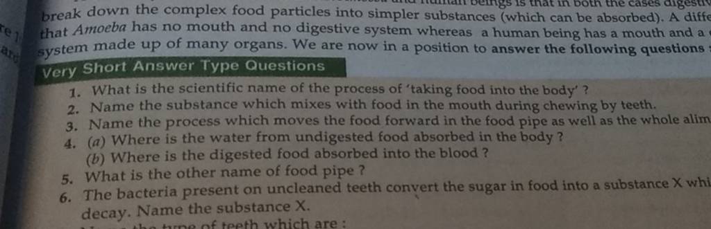 Where is the digested food absorbed into the blood? | Filo