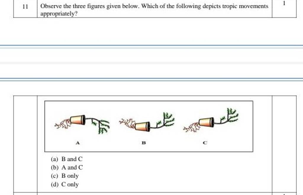 11 Observe the three figures given below. Which of the following depicts 11 Observe the three figures given below. Which of the following depicts