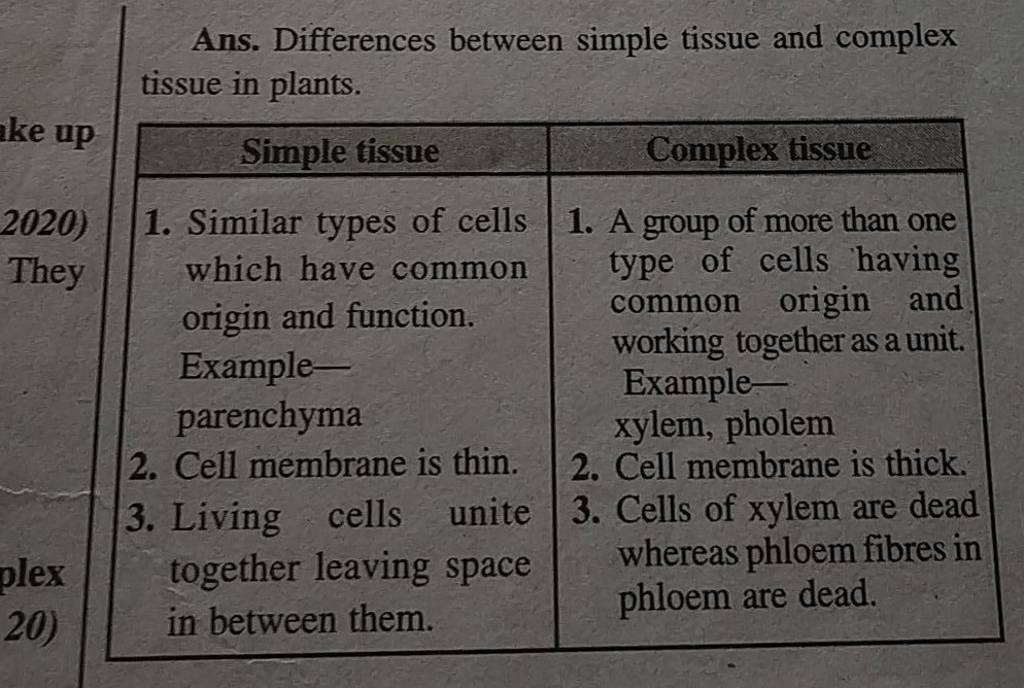 Ans Differences Between Simple Tissue And Complex Tissue In Plants ans-differences-between-simple-tissue-and-complex-tissue-in-plants