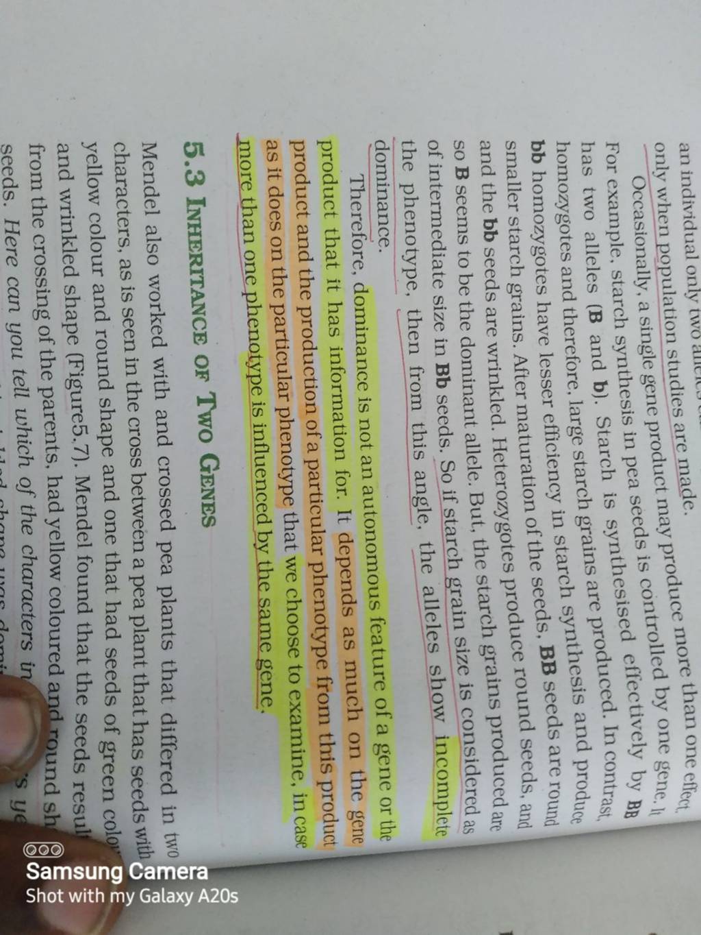only when population studies are made. Occasionally, a single gene produc.. only when population studies are made. Occasionally, a single gene produc..