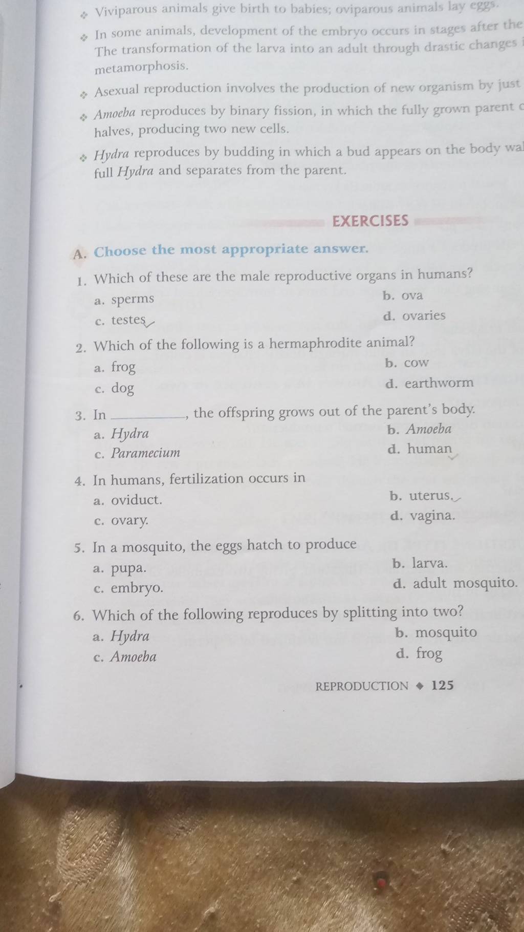 * Viviparous animals give birth to babies; oviparous animals lay eggs.