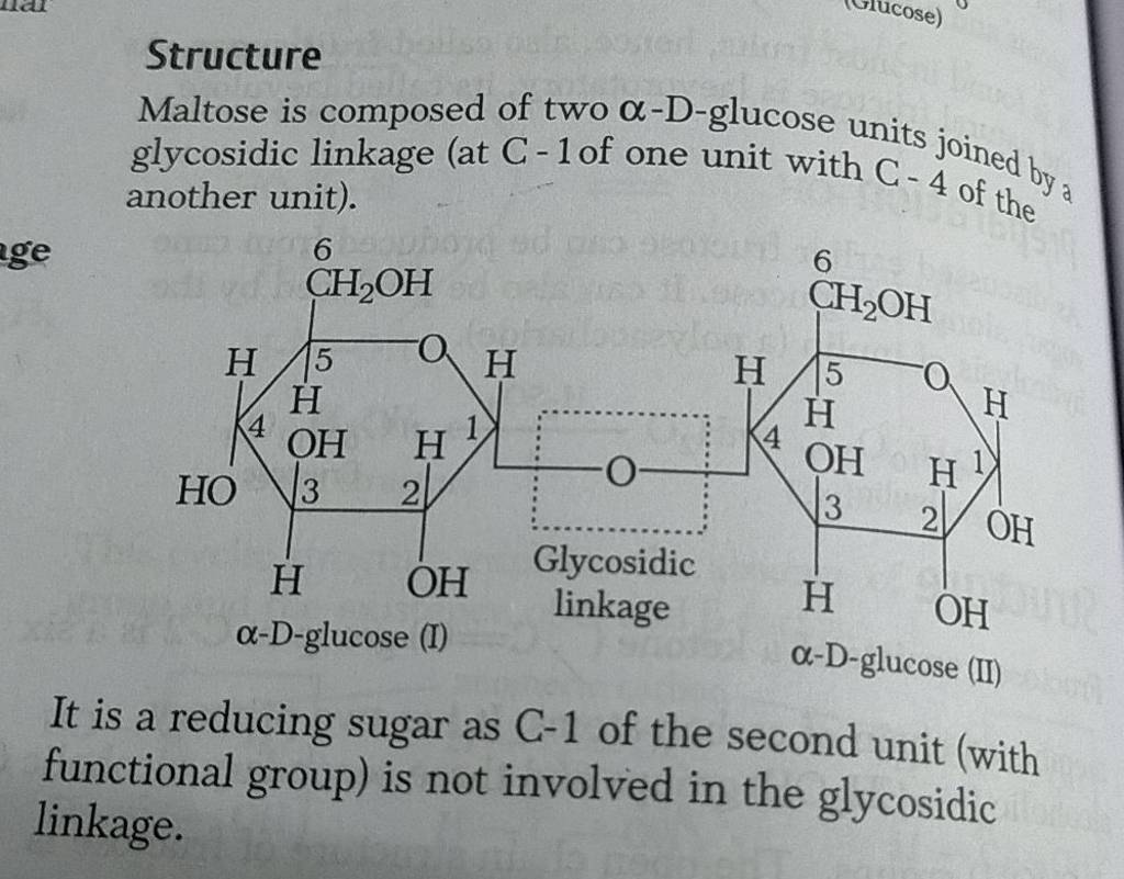 Structure Maltose is composed of two α−D-glucose units joined by glycosid..