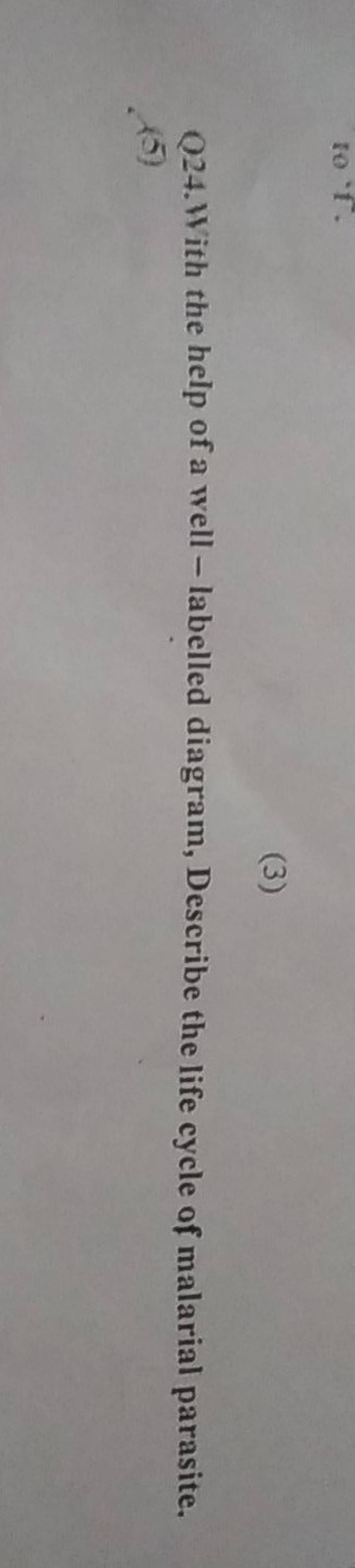 (3) Q24. With the help of a well - labelled diagram, Describe the life cy..
