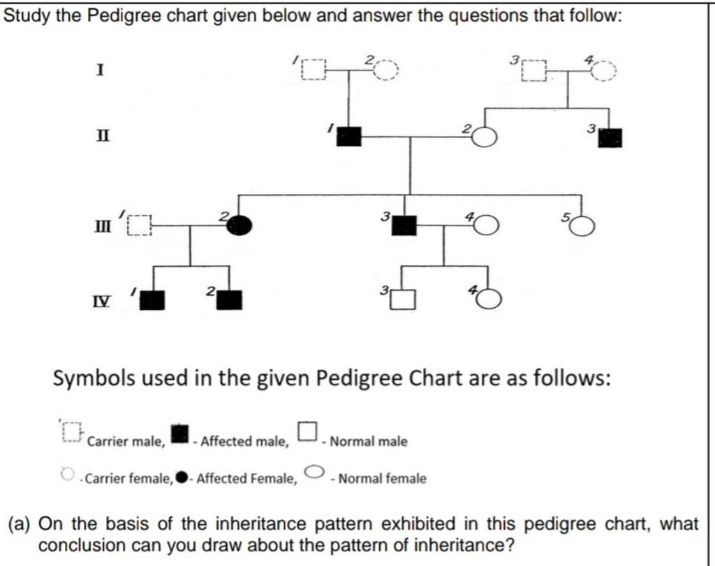 Study the Pedigree chart given below and answer the questions that follow..