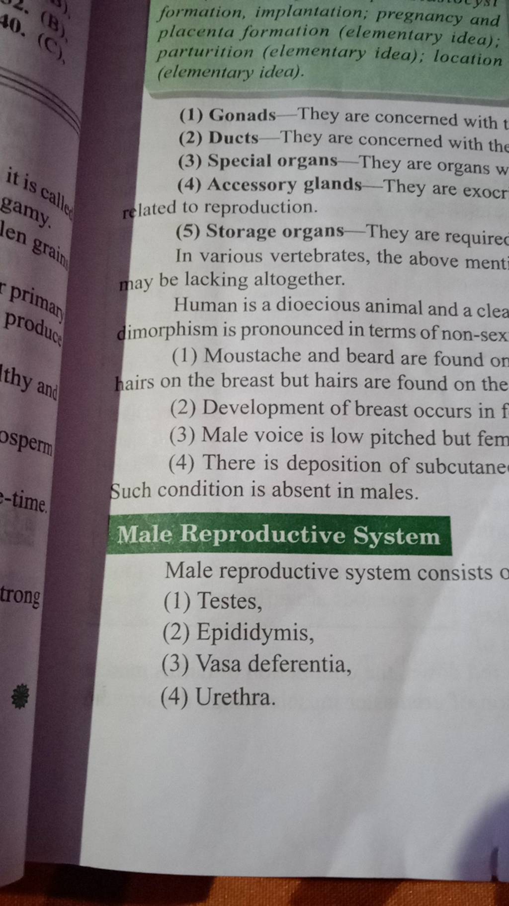Male Reproductive System Male reproductive system consists | Filo