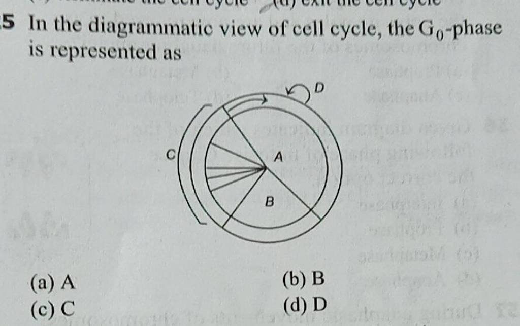 5 In the diagrammatic view of cell cycle, the G0 -phase is represented as..