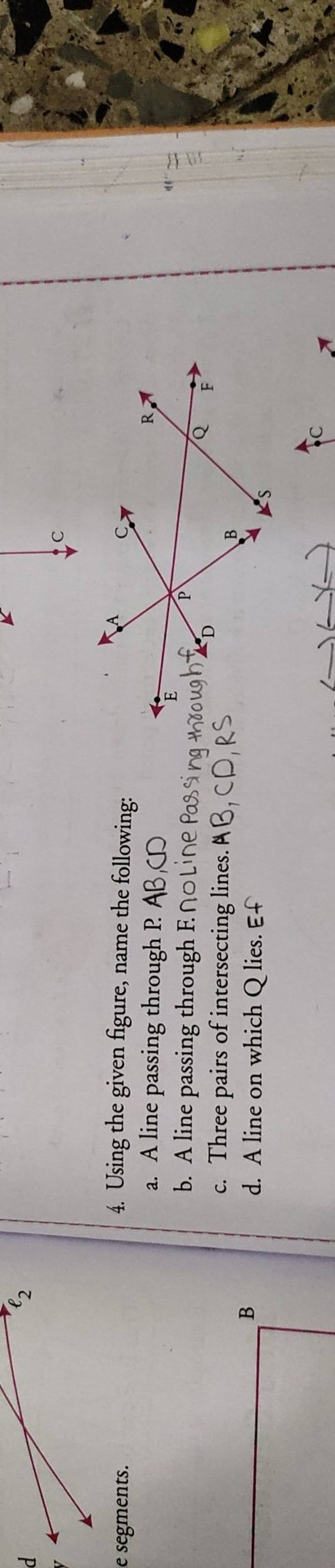 Using the given figure, name the following: | Filo