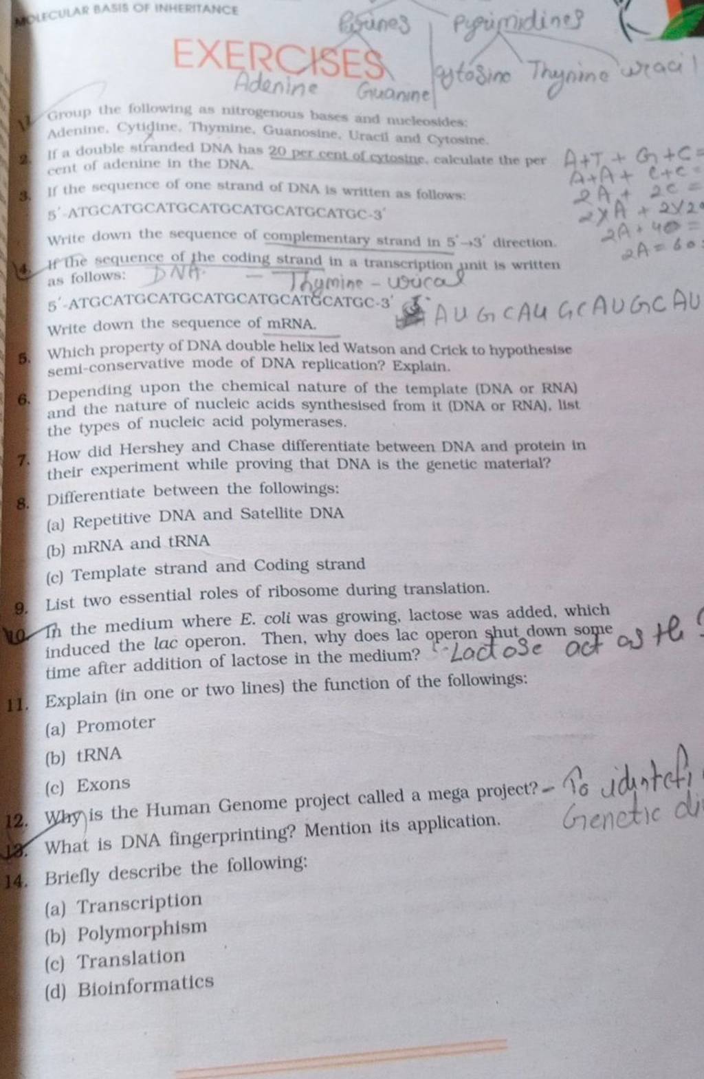 Why Is The Human Genome Project Called A Mega Project To Identef 12 why-is-the-human-genome-project-called-a-mega-project-to-identef-12