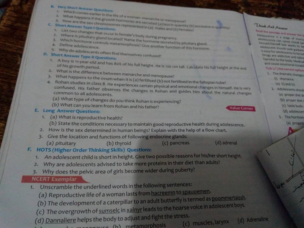 HOTS (Higher Order Thinking Skills) Questions: 1. An adolescent child is