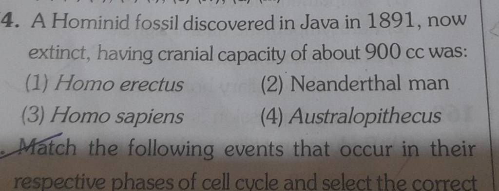 A Hominid fossil discovered in Java in 1891 , now extinct, having cranial..