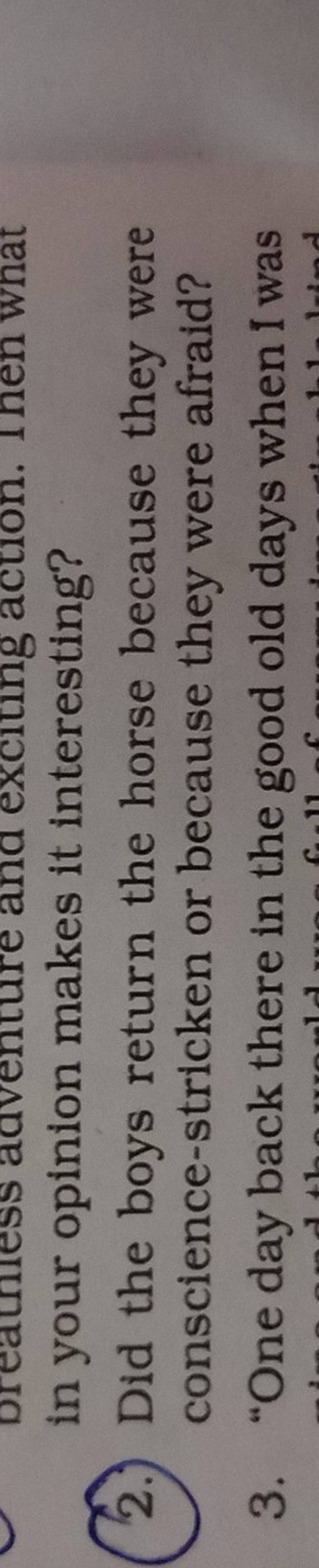 in your opinion makes it interesting? 2. Did the boys return the horse be..