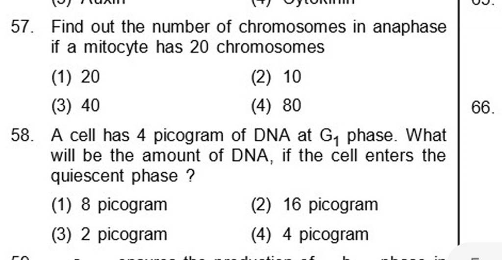 A cell has 4 picogram of DNA at G1 phase. What will be the amount of DNA..