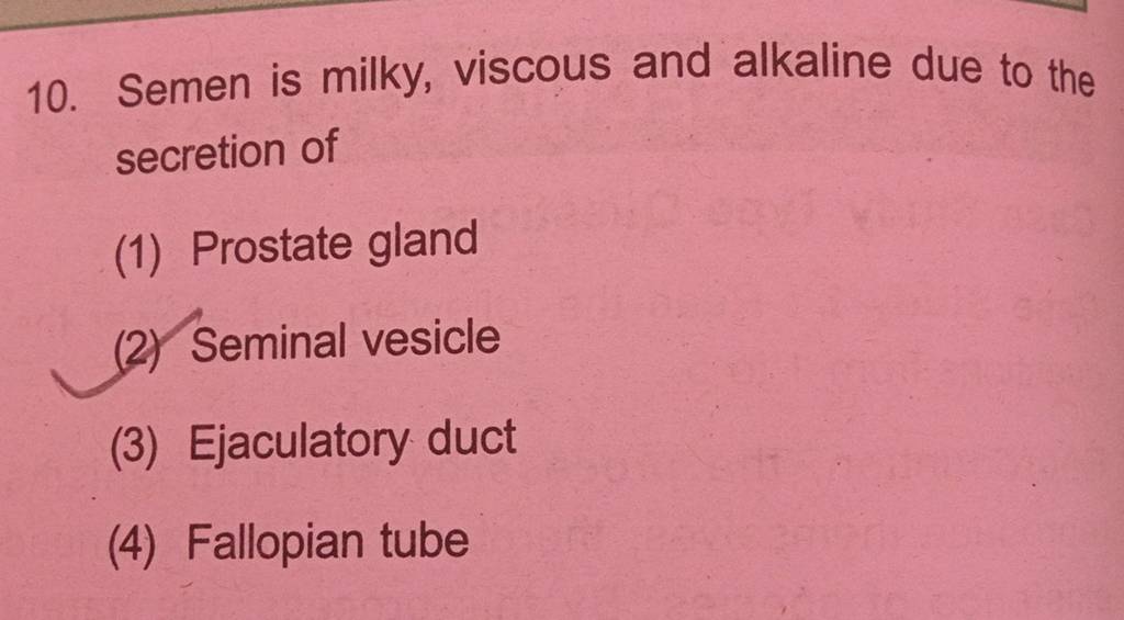 Semen is milky, viscous and alkaline due to the secretion of | Filo