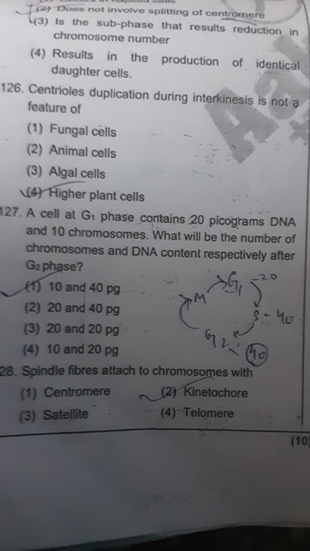A cell at G1 phase contains 20 picograms DNA and 10 chromosomes. What wi..