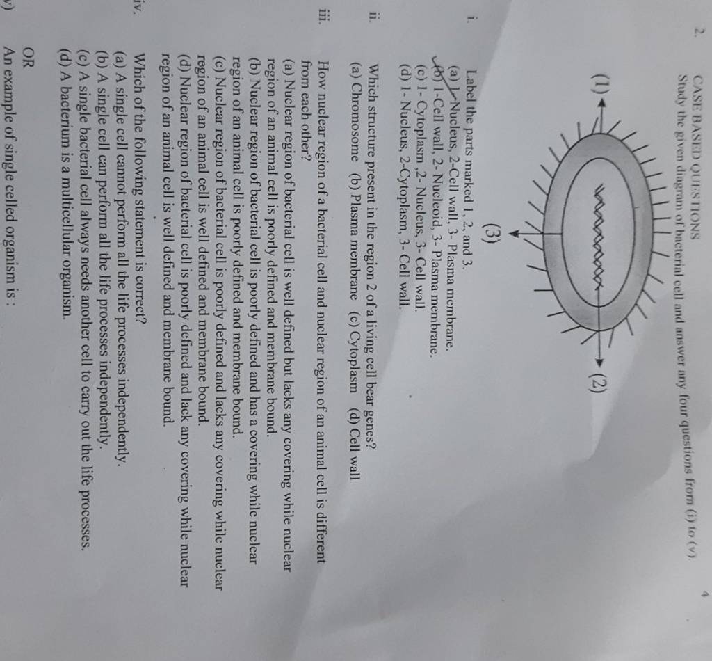 CASE BASED QUESTIONS Study the given diagram of bacterial cell and answer..