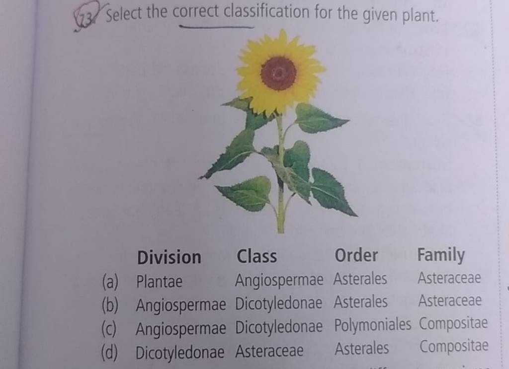 Classification Of Sunflower