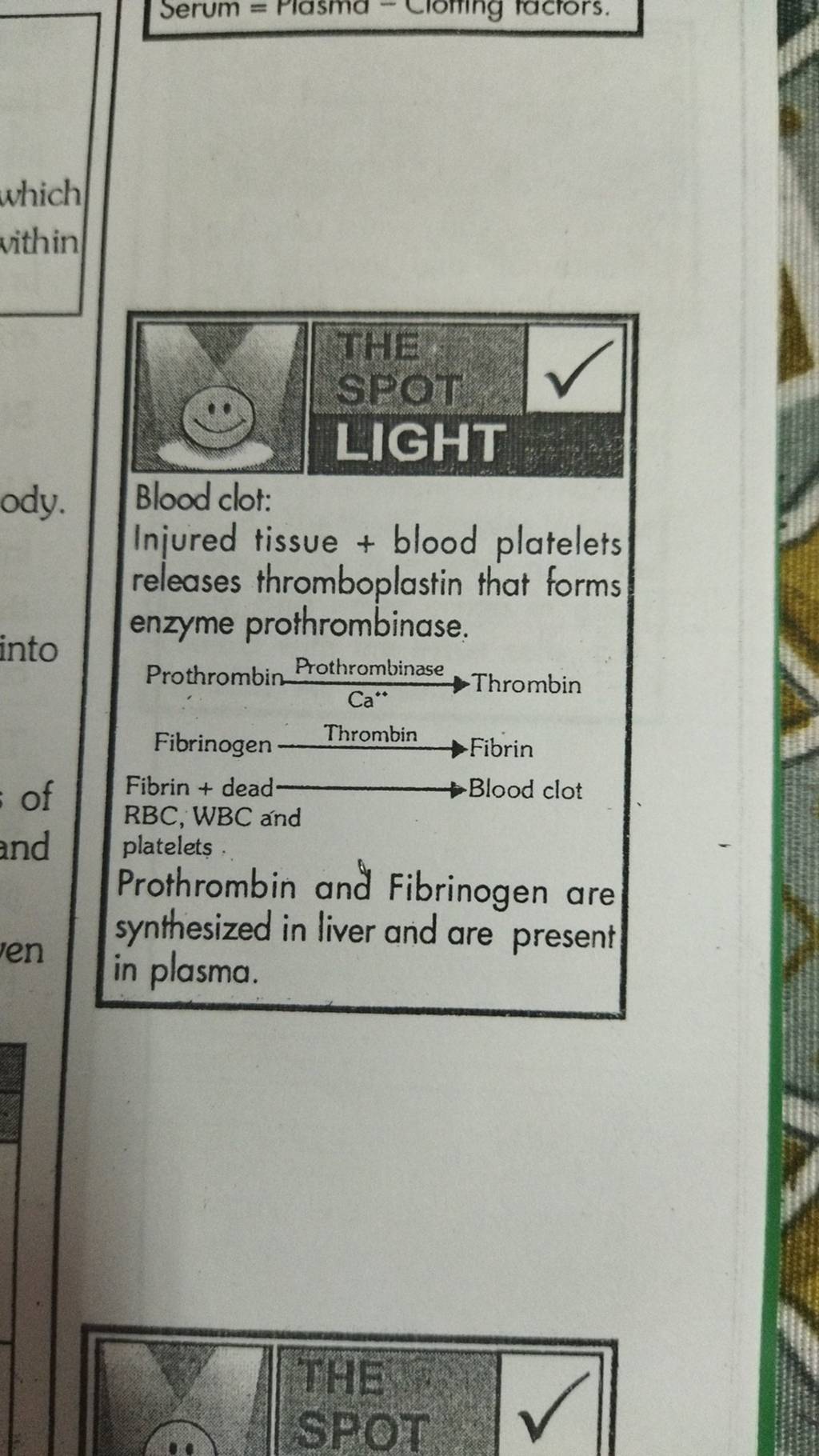 Injured tissue + blood platelets releases thromboplastin that forms enzym..