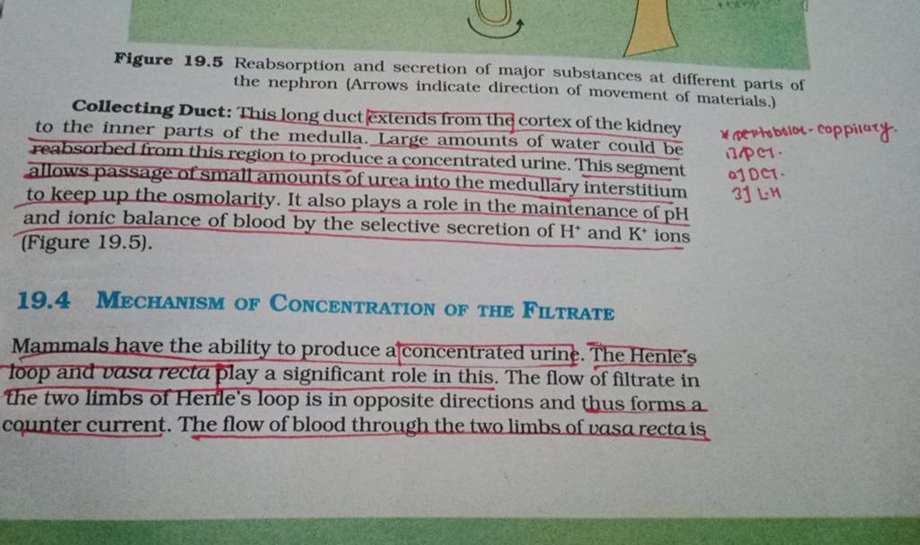Figure 19.5 Reabsorption and secretion of major substances at different p.. Figure 19.5 Reabsorption and secretion of major substances at different p..
