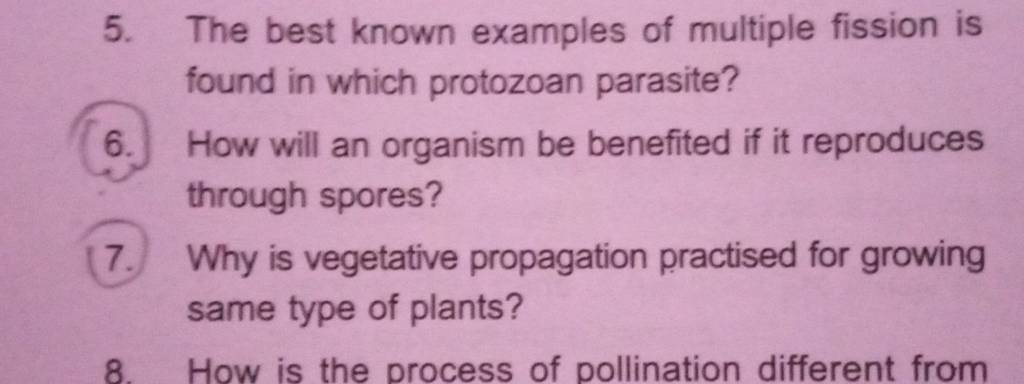5. The best known examples of multiple fission is found in which protozoa..