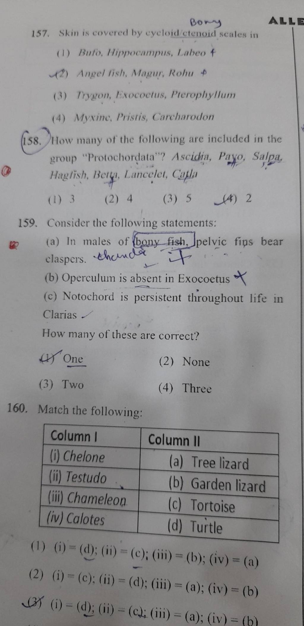 Skin is covered by cycloid ctenoid scales in | Filo