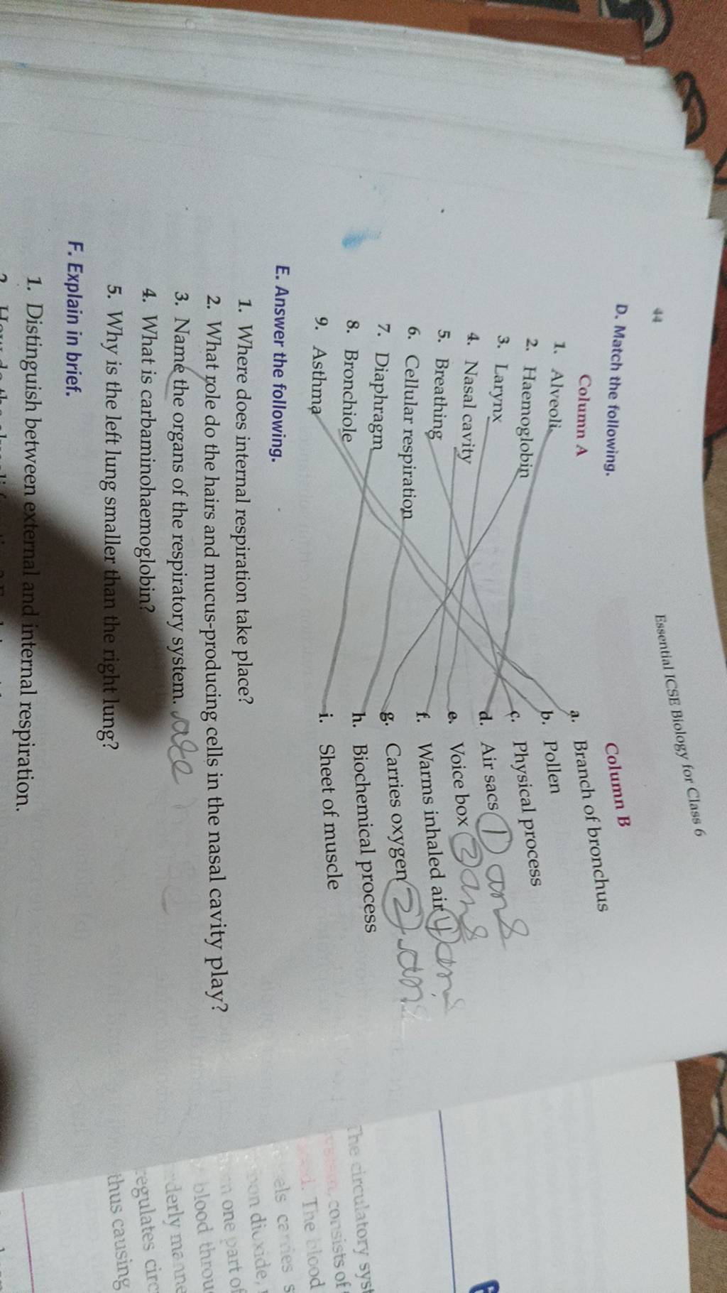 44 Essential ICSE Biology for Class 6 D. Match the following. E. Answer