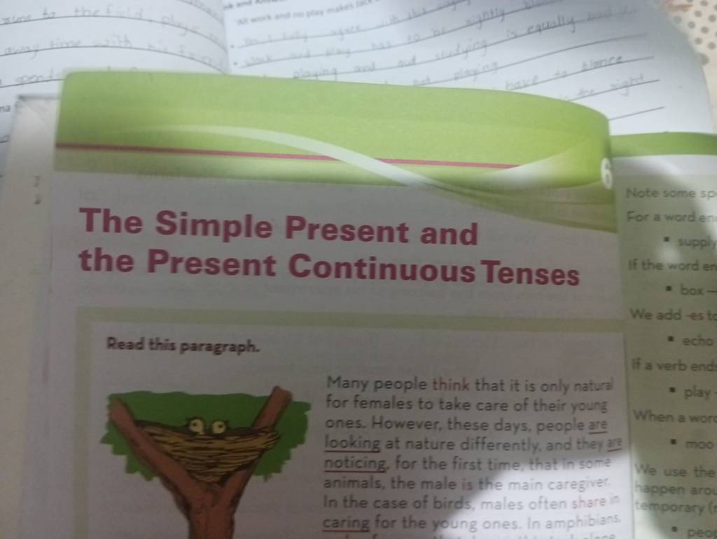The Simple Present and the Present Continuous Tenses Read this paragraph...