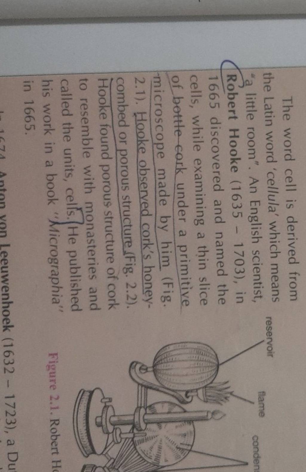 The word cell is derived from the Latin word 'cellula' which means "a lit..