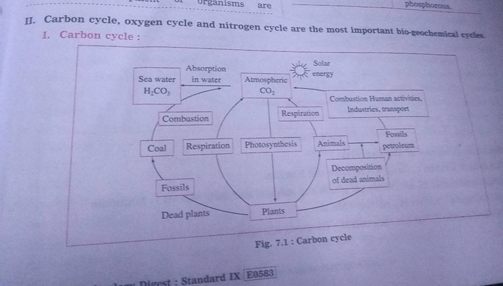 11. Carbon cycle, oxygen cycle and nitrogen cycle are the most important