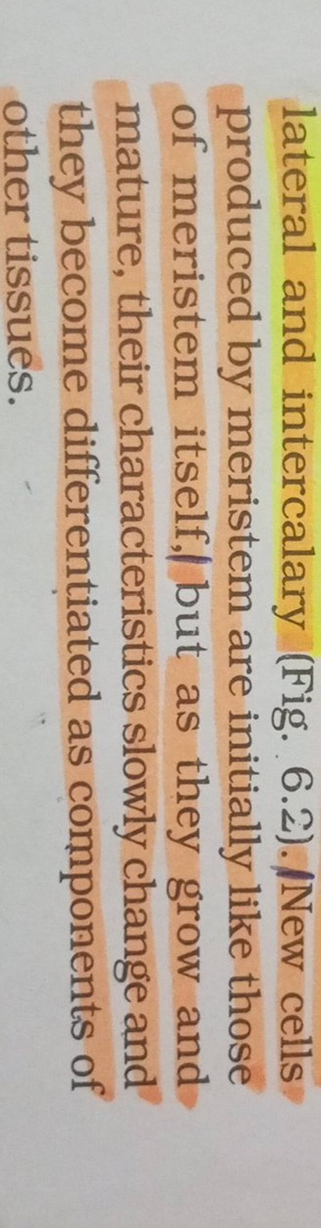 lateral and intercalary (Fig. 6.2). (New cells produced by meristem are i..