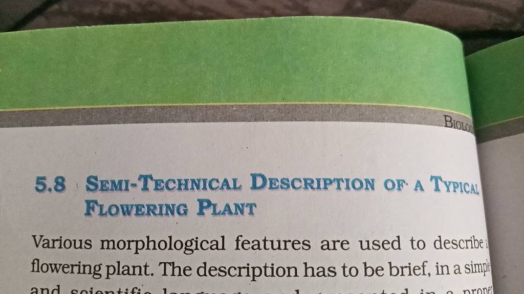 5.8 SEMI-TECHNICAL DESCRIPTION OF A TYpICA FLOWERING PLANT Various morpho..