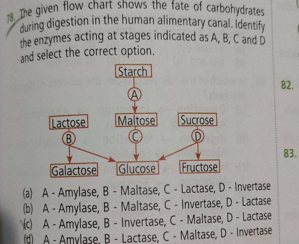 The given flow chart shows the fate of carbohydrates during digestion in