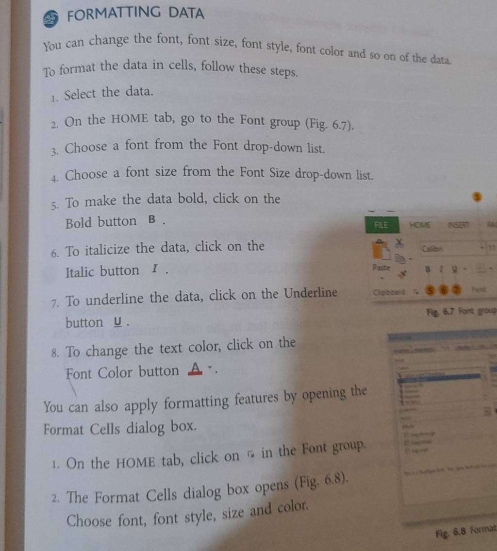 FORMATTING DATA You can change the font, font size, font style, font colo.. FORMATTING DATA You can change the font, font size, font style, font colo..