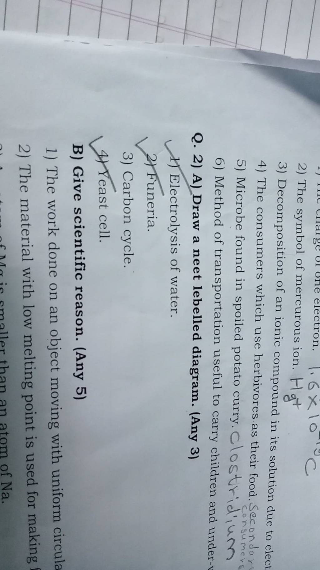 2) A) Draw a neet lebelled diagram. (Any 3) | Filo