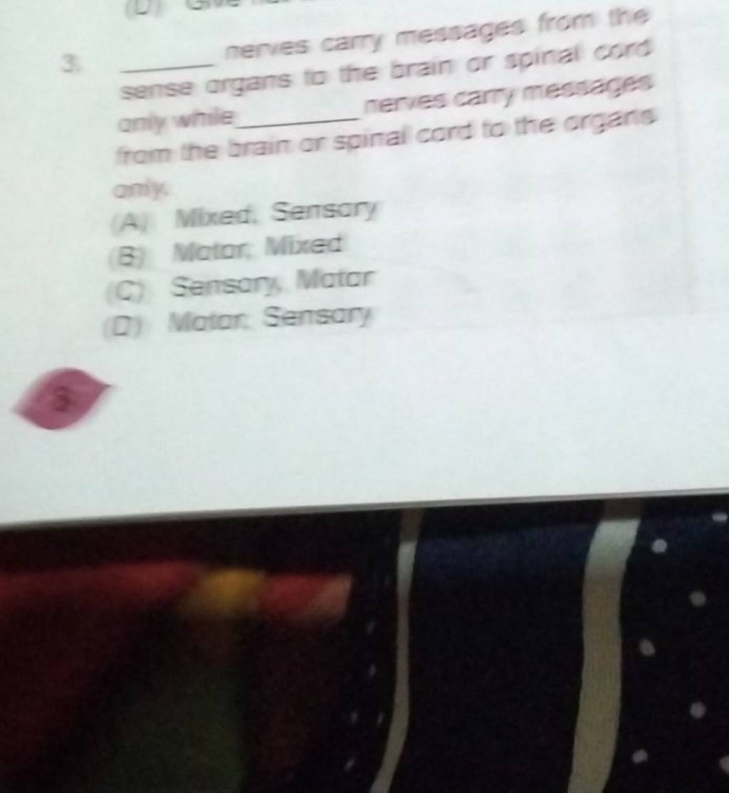 3. nerves carry messages from the sense argans to the brain or spinal cor..